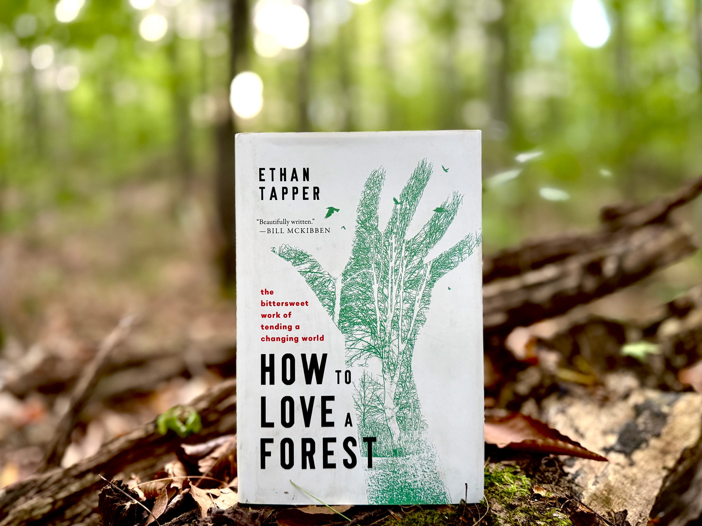 Speaking for the trees